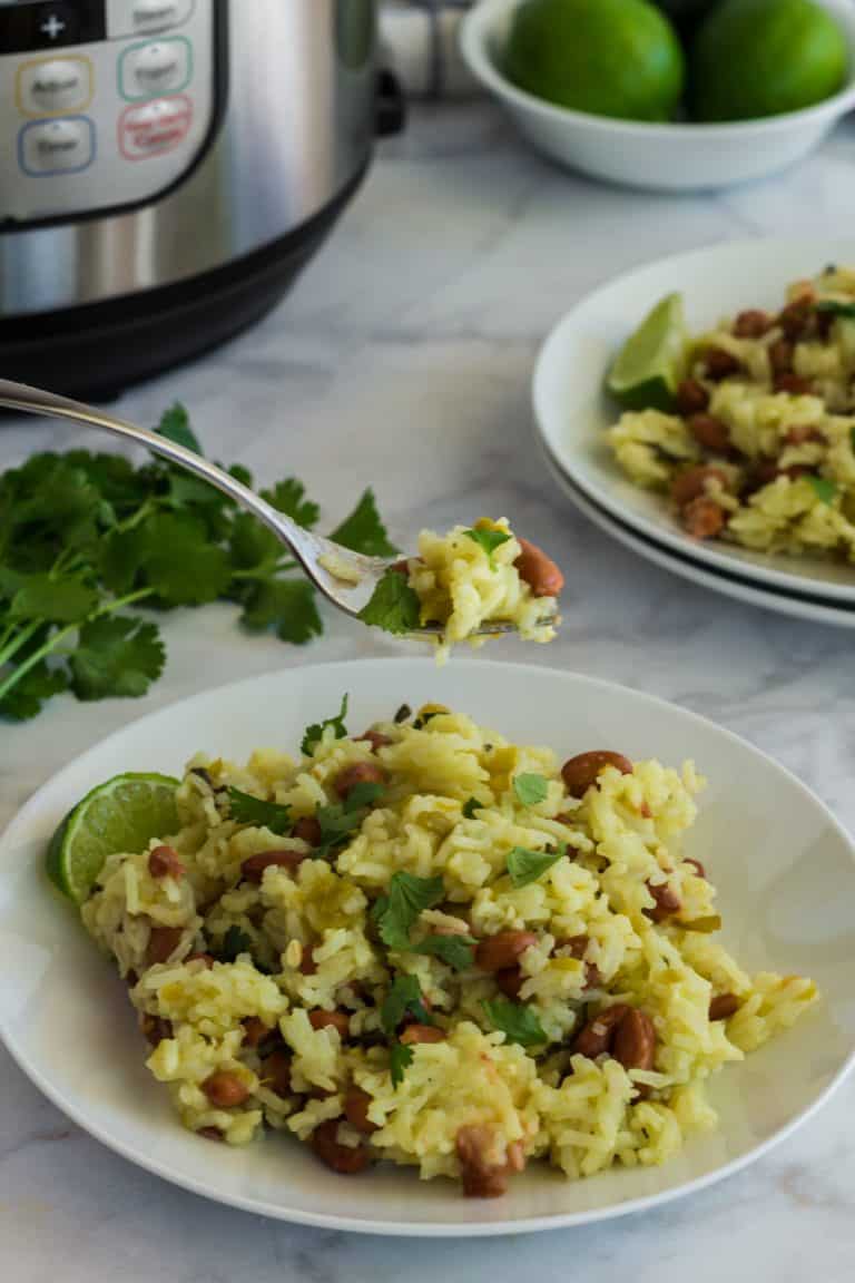 Instant Pot - My Plant-Based Family