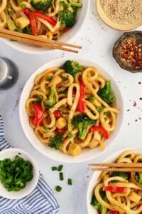 Vegetable Udon Stir Fry - My Plant-Based Family