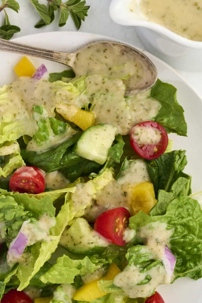 Greek Salad Dressing (No Oil) - My Plant-Based Family